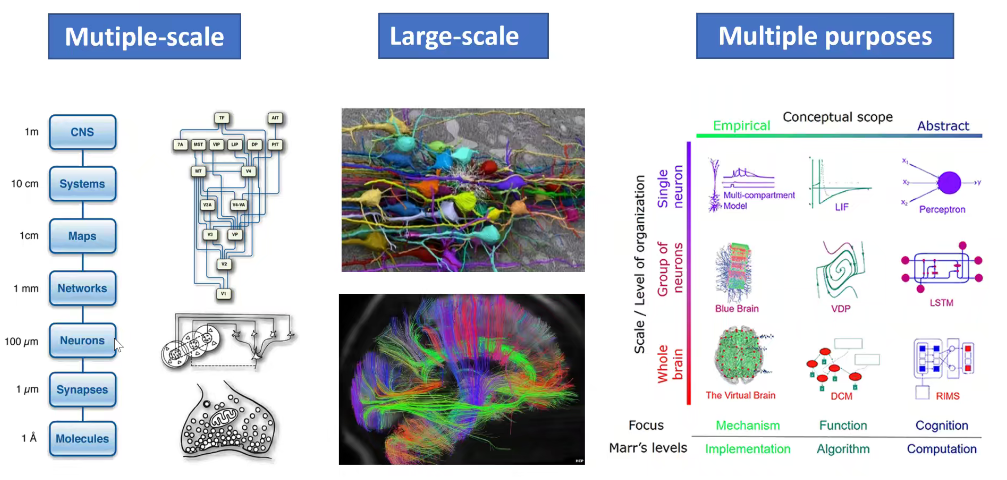 BrainPy course notes | BrainPy course notes
